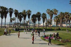 VeniceBikePath.com | How To Navigate Your Trip to the Venice Beach Bike ...